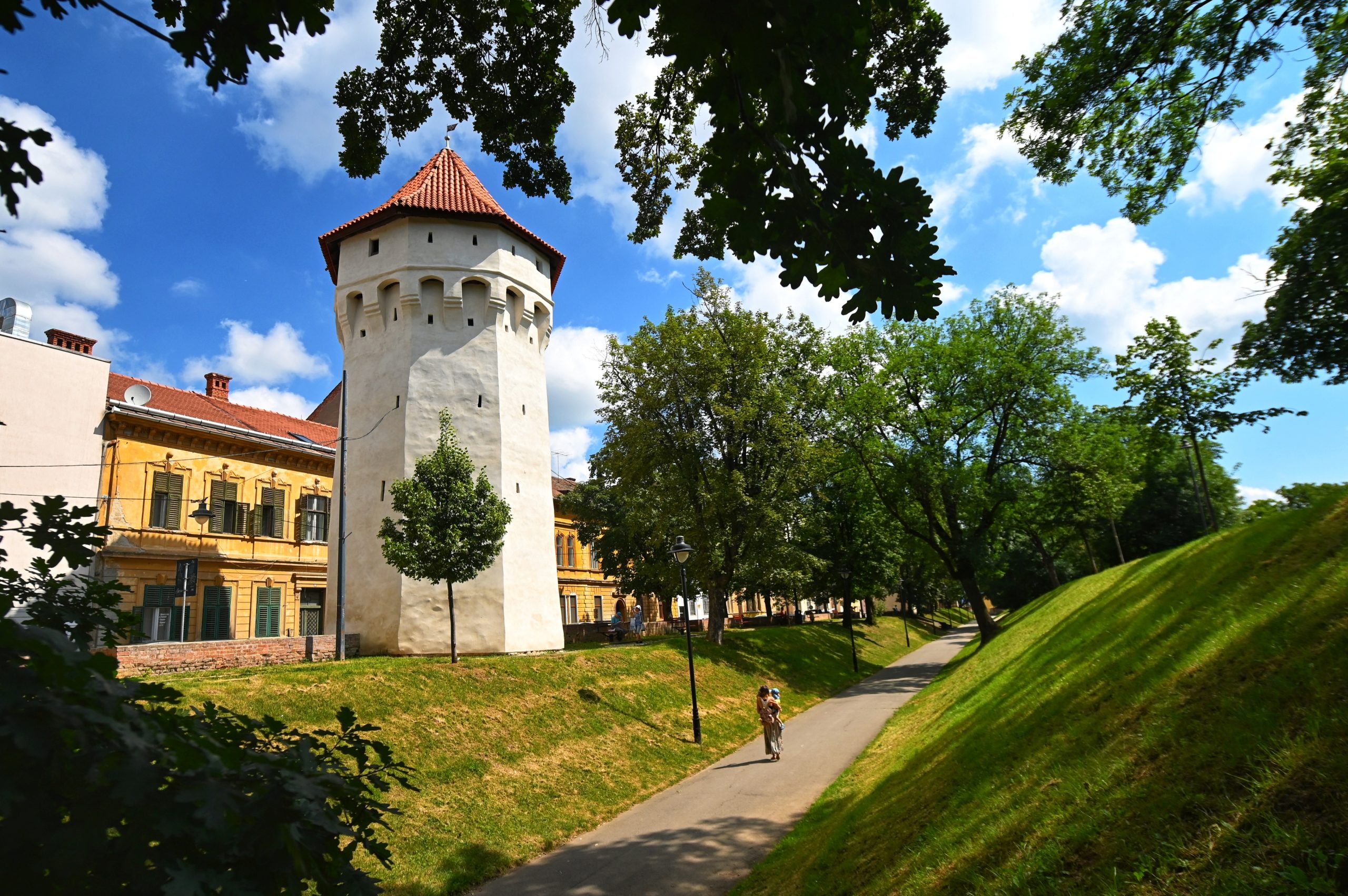 Municipiul Sibiu are strategii pentru dezvoltare durabilă și adaptare ...