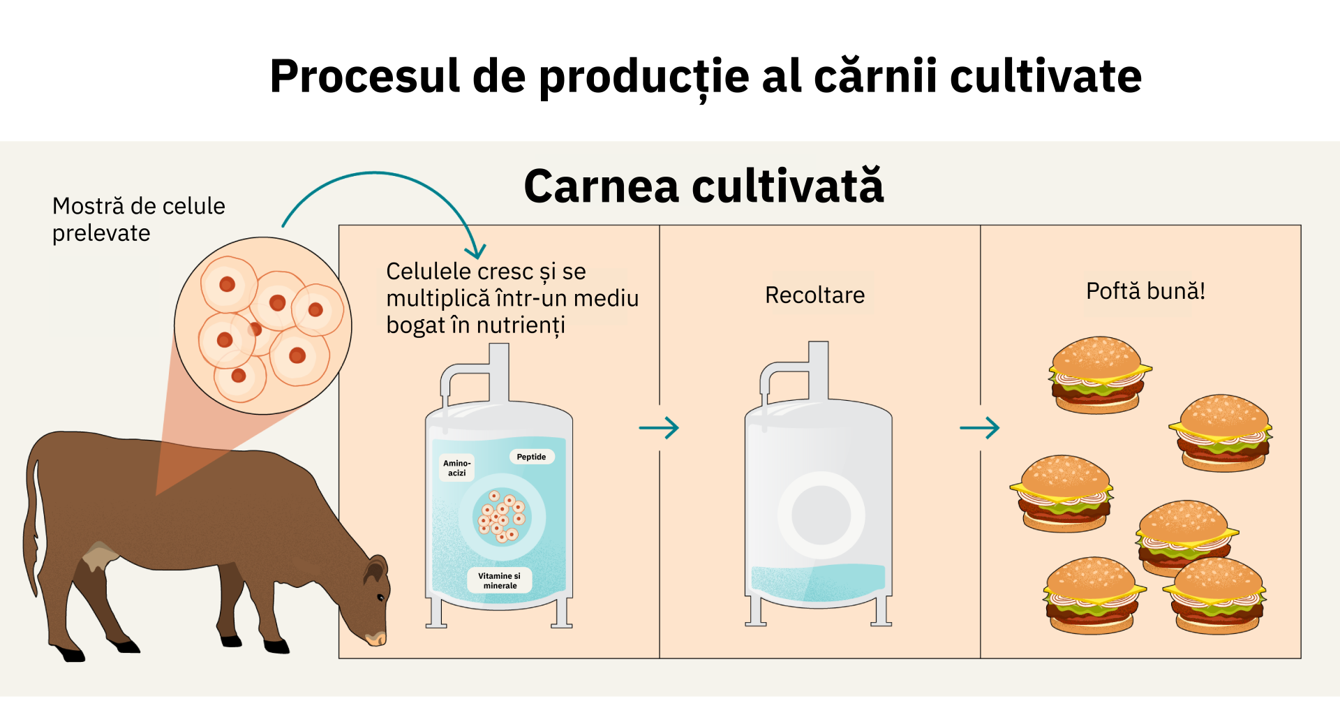 Ce este carnea cultivată, cum se produce și de ce România este pe cale ...