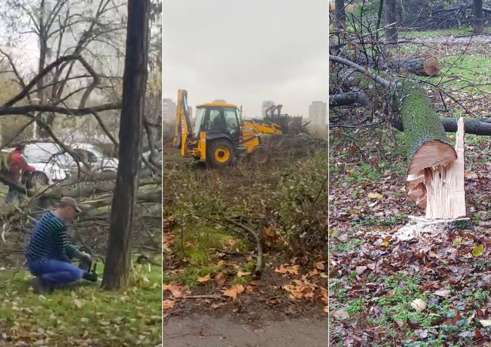 Târg de Crăciun și parc de distracții în zona retrocedată și defrișată ...
